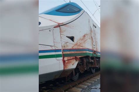 Скоростной поезд «Афросиаб сбил 18 овец