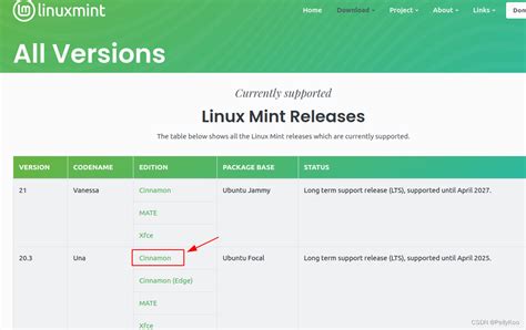 Linux Mint 203 Cinnamon安装linux Mint 安装在u盘 Csdn博客