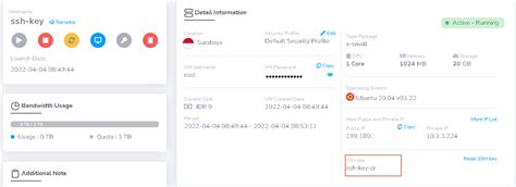 using the ssh key feature in serverstadium dashboard serverstadium