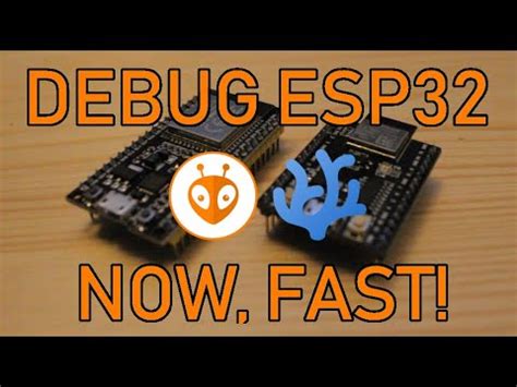 A Very Comprehensive ESP Debugging Guide YouTube