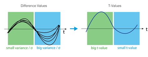 Statistics Cluster Permutation Test Science