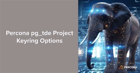 percona pg tde project keyring options