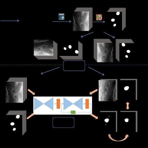The Overall Flowchart Of The Processing The Top Side Shows The Download Scientific Diagram