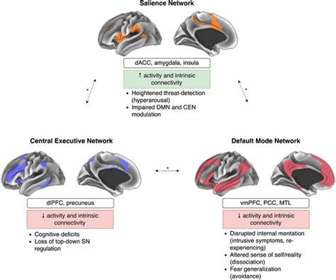 Network Based Neurobiological Model Of Ptsd The Figure Shows The Download Scientific Diagram