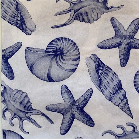 Seashell Decoupage Etsy
