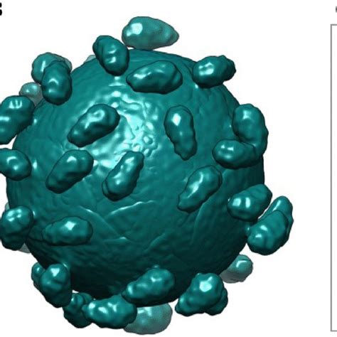 Pleolipoviral Virion A Cryo Electron Tomography Of Halorubrum Download Scientific Diagram