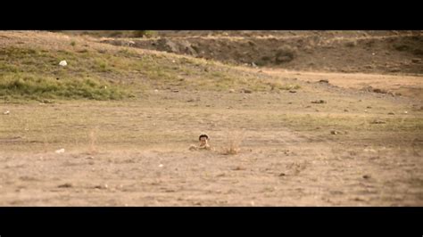 Kurak Gunler Eporner