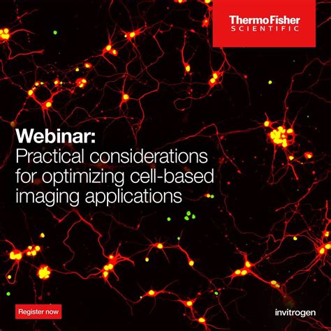 🔬master Your Cell Based Imaging Workflow Register For Webinar