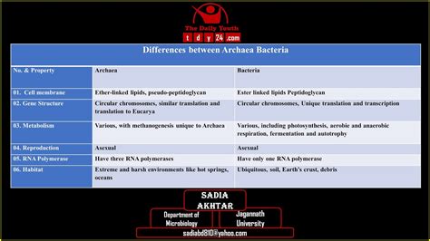 Differences Between Archaea And Bacteria