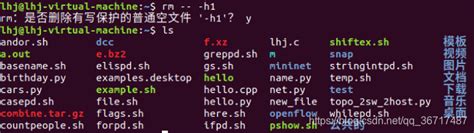 mininet使用教程 mininet教程 csdn博客