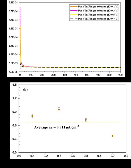 A Potentiostatic Polarization And B Steady State Passive Current