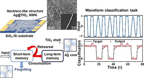 Memristive Devices Based On Necklace Like Structure Ag TiO Nanowire Networks For Neuromorphic
