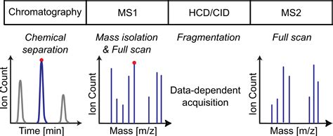 Non Targeted Analysis Using Lc Msms Dda Acquisition — Smartpeak