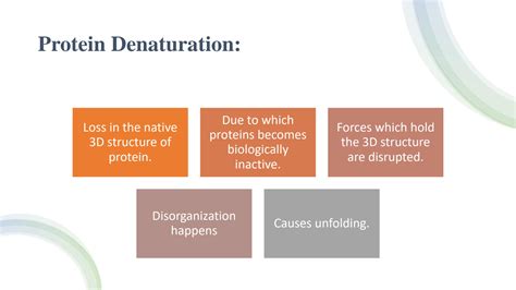 Solution Best Presentation On Denaturation And Renaturation Of