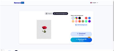 How To Remove Black Background From Image Effectively