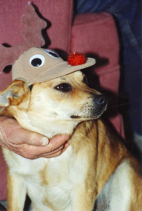 The Ossington Kitchen Evon Craig