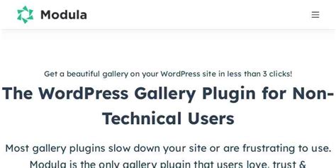 Modula Password Protect Pluginsforwp