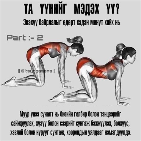 Японы уламжлалт аарцаг нурууны бариа засал Home