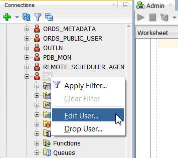 Oracle Database 12c Using Analytic Views