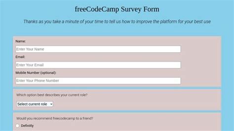Freecodecamp Survey Form Project Code Feedback The Freecodecamp Forum