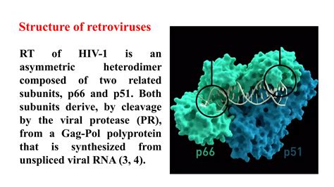 Reverse Transcriptase New Projectpptx
