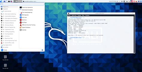 Kali Linux начало с чего начать Hd 24