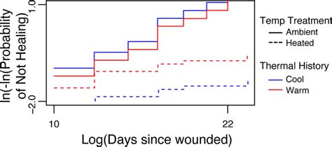 log −log survival curves as a function of time log scale using