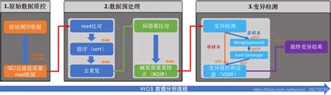 《全基因组测序wgs数据分析——4 构建wgs主流程》学习笔记 浓度低 最大量测序 csdn博客