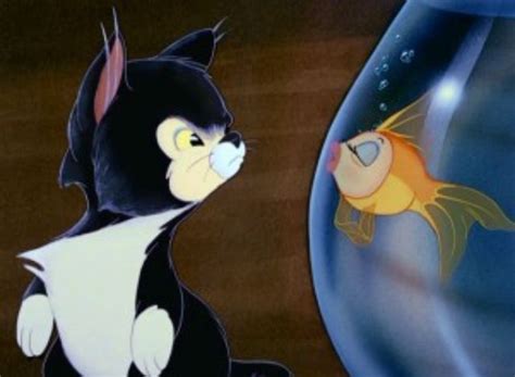 Figaro Is So Cute Walt Disney Characters Disney Sidekicks