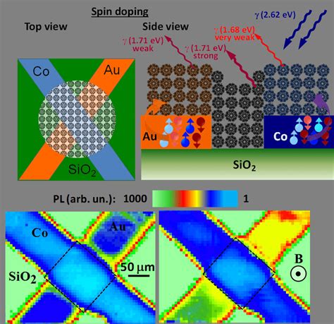 10 top left sample schematic of a sio 2 substrate with 100 µm wide au