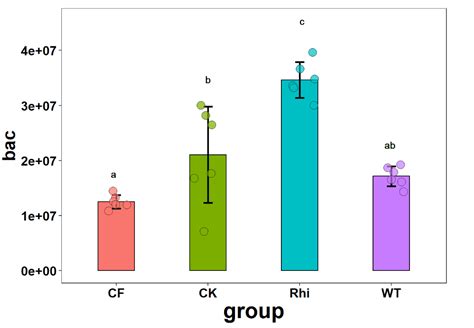 差异分析完整解决方案 差异分析及方案设计 Csdn博客