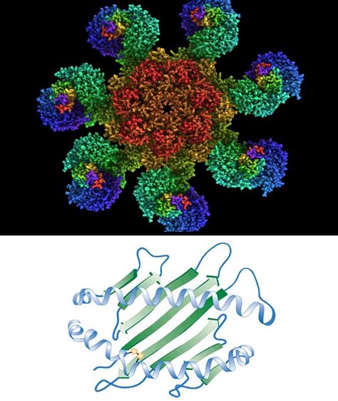 Clinbiocare Technology