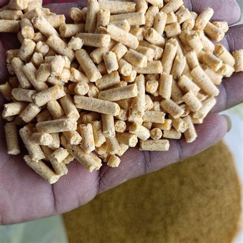 Cattle Feed At ₹ 40 Kg Cattle Feed In Bhopal Id 2851934173712