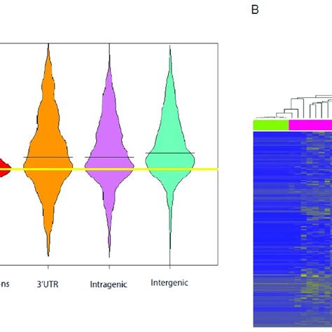 Differential DNA Methylation Patterns According To Maternal MTR Download Scientific Diagram