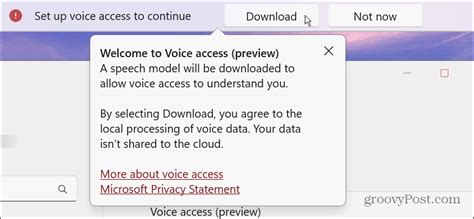 how to enable and use voice access on windows 11