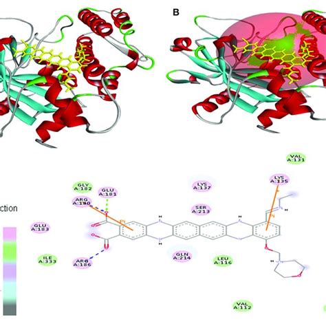 Poses Of Docked Complexes A In Silico Interaction Between Selected