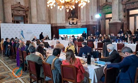 Ley Bases El Gobierno Avanza En El Senado Y Habría Dictamen