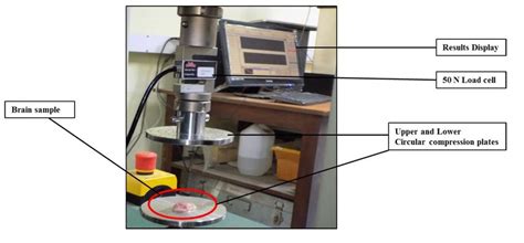 Compression Test Setup Download Scientific Diagram