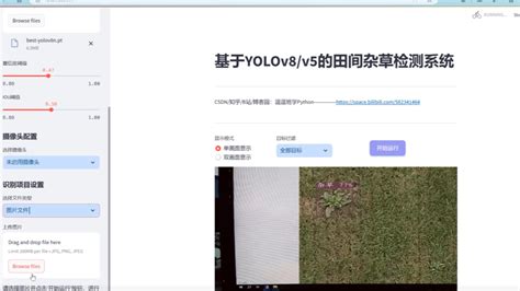 基于深度学习的田间杂草检测系统（网页版 yolov8 v7 v6 v5代码 训练数据集） 逗逗班学python 博客园