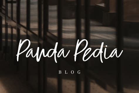Monday Script Font Font Fonts