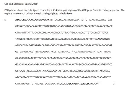 Solved Question 2 Write The Sequence Of The Reverse Primer
