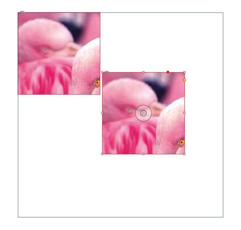 One Image Across Multiple Frames Indesign Effect Indesign Skills