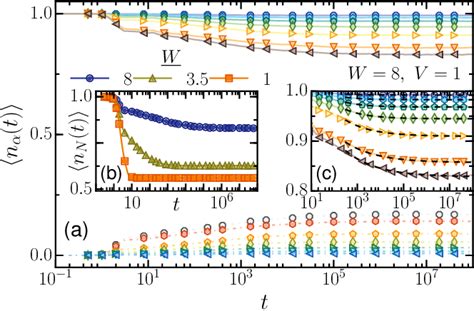 Figure 1 From One Particle Density Matrix Occupation Spectrum Of Many