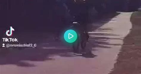 Trying To Figure Out This Tiktok Thing Album On Imgur