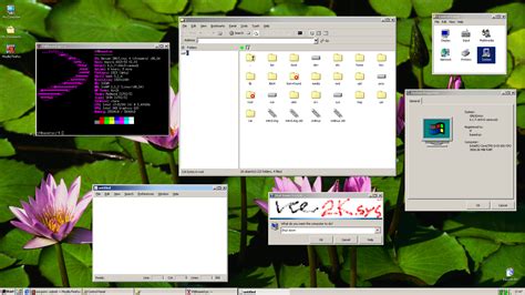 51 Best Icewm Images On Pholder Unixporn Usability Porn And Zen Browser
