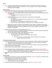Chapter II Syntax Phase Structure Syntax Syntax Rules Governing The Sequences And