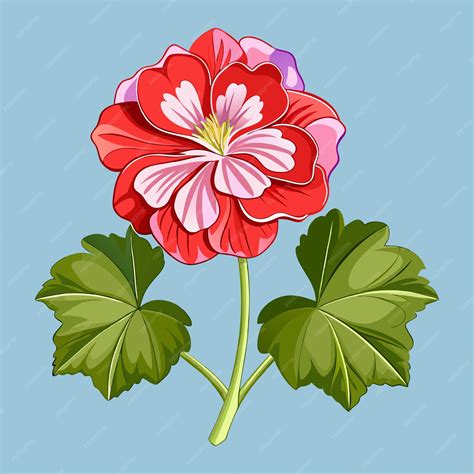 Geranium Clipart Vector Illustration Premium Ai Generated Vector