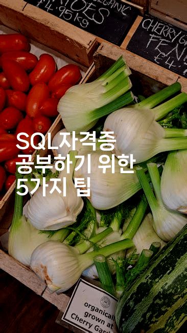 Sql자격증 공부하기 위한 5가지 팁 마이글글