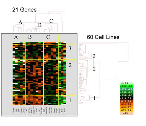 Dendrograms And Cluster Image Map Obtained By Hierarchical Cluster