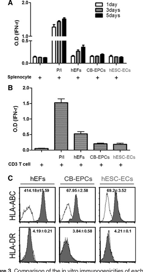 Figure 3 From Humanized Mouse Models Harboring A Human Immune System Derived Endothelial Cells